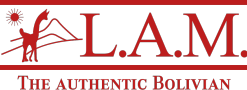 Socks - LAM Bolivia
